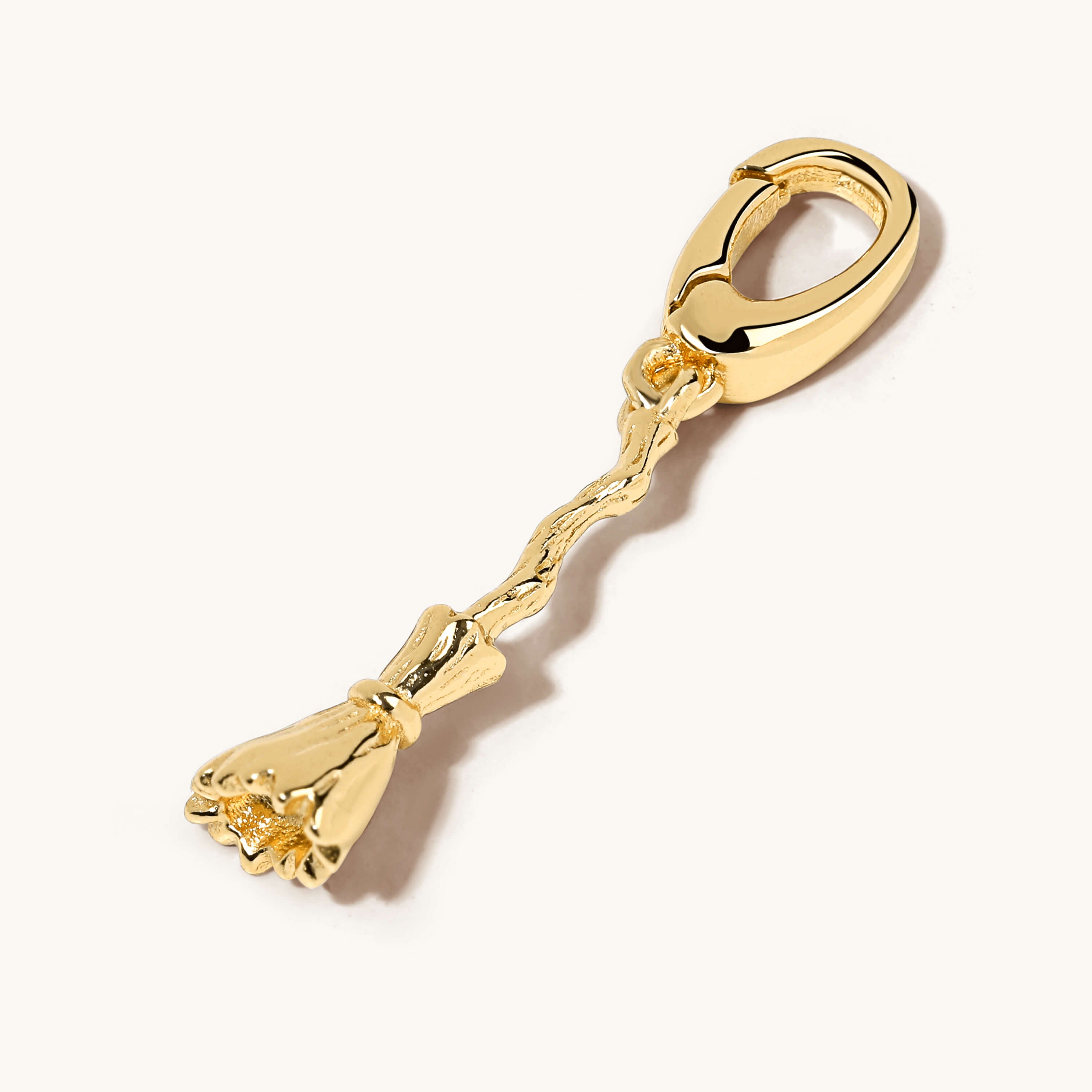 The Witch's Broom: A Symbol of Purification and Transformation ...